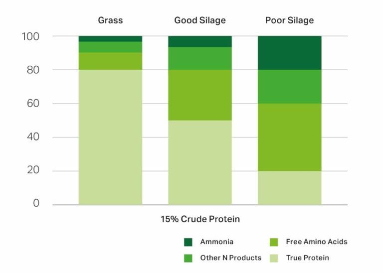 Nutritional Value of Grass Guide - Germinal Ireland