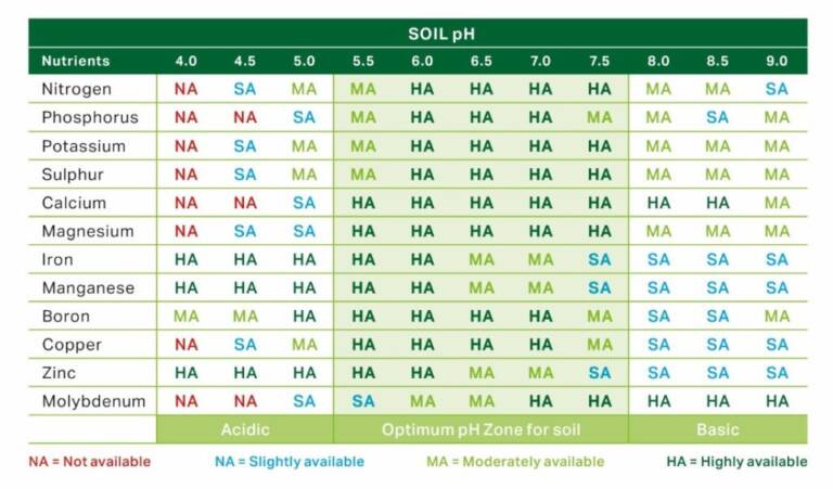 Nutritional Value of Grass Guide - Germinal Ireland