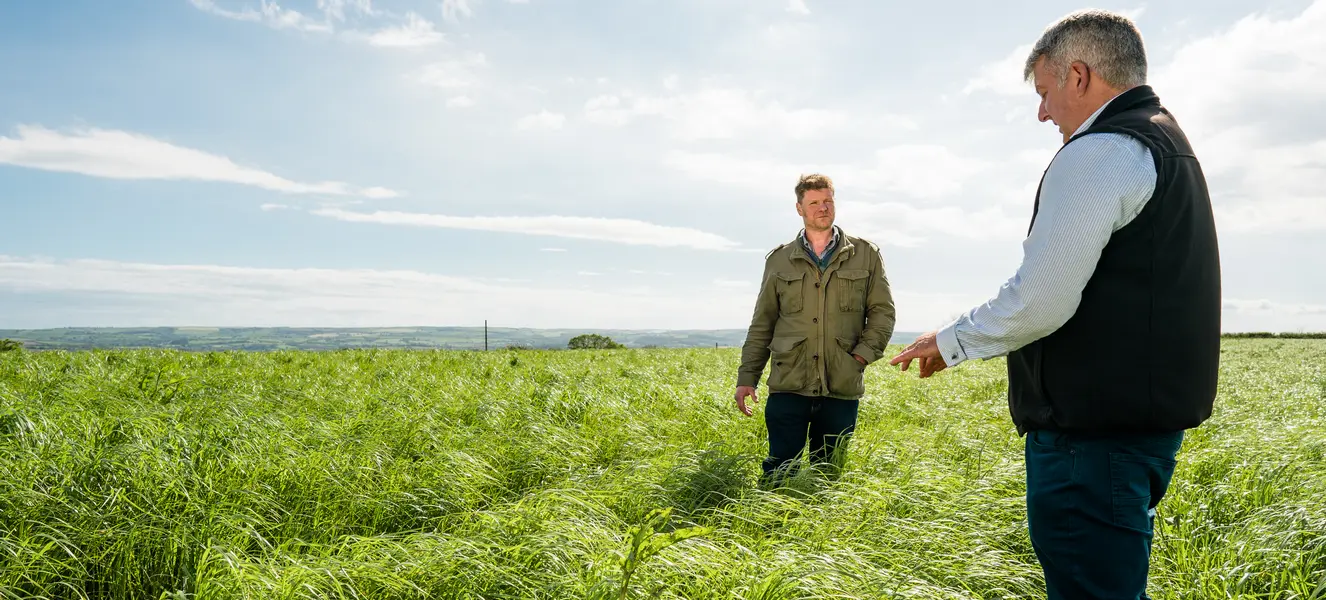 Knowledge Hub - Expert Grass and Forage Guides - Germinal