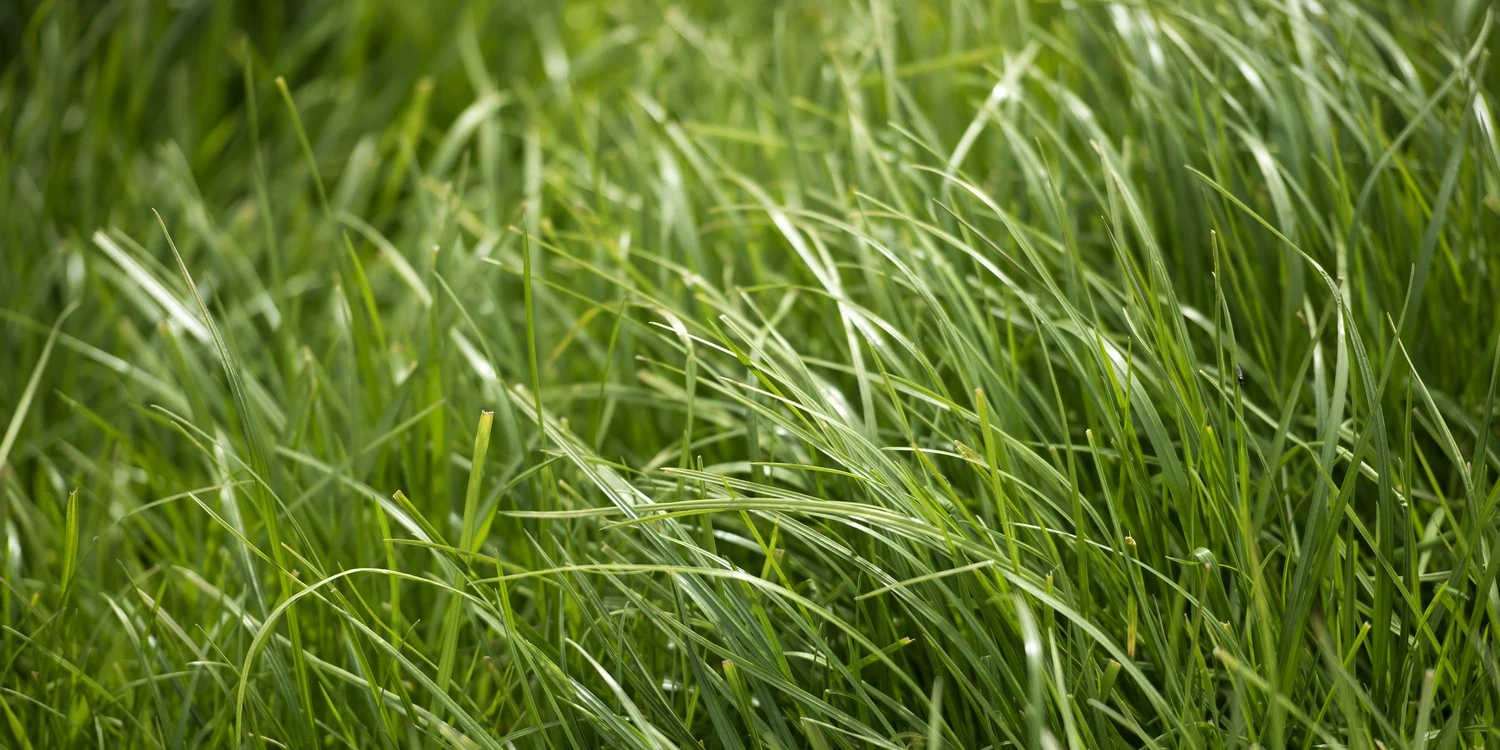 Maximise Nutrients With Low Emission Slurry Spreading